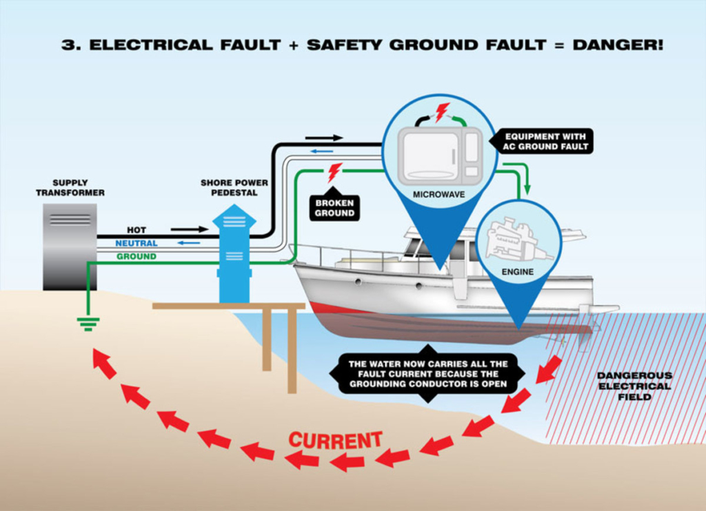 Marina Swimming Risks | Danger of Swimming in Marinas